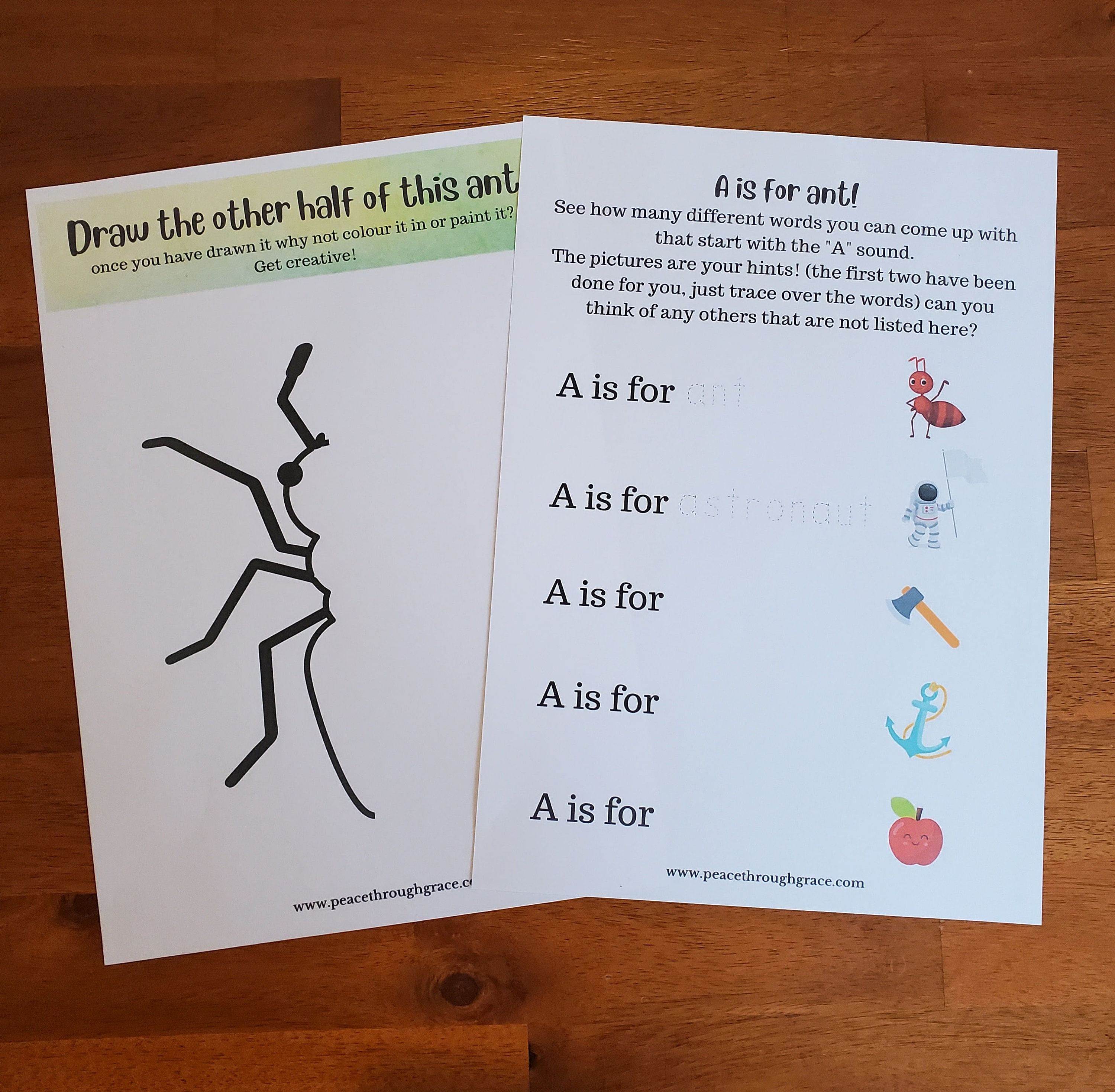 ANTS! Study Bundle Montessori, Life Cycle, Anatomy, Nature Study ...