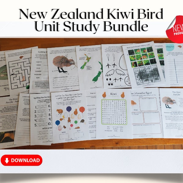 Kiwi Bird - Etsy