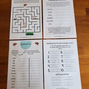 NEW ZEALAND Kiwi Bird Unit Study Bundle. Montessori Style, Hands-on ...