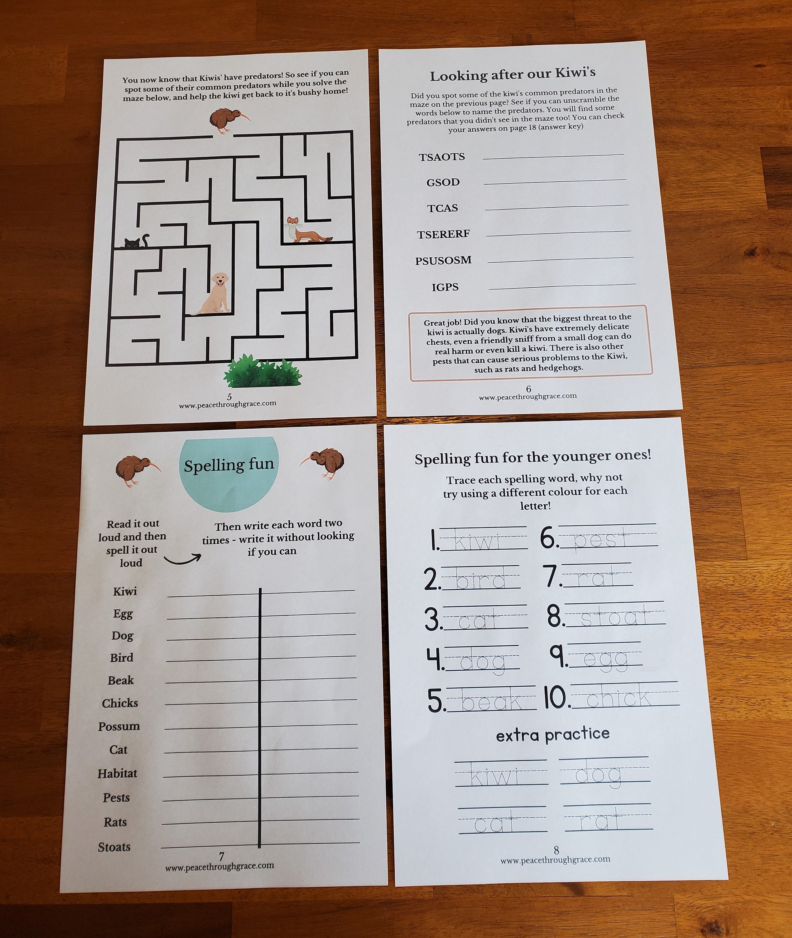 NEW ZEALAND Kiwi Bird Unit Study Bundle. Montessori Style, Hands-on ...