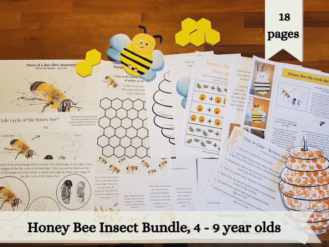 Honey Bee Unit Study Bundle, Learning, Montessori, Charlotte Mason, Fun ...