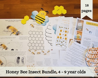 Honey Bee Unit - Etsy
