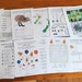 NEW ZEALAND Kiwi Bird Unit Study Bundle. Montessori Style, Hands-on ...