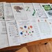 NEW ZEALAND Kiwi Bird Unit Study Bundle. Montessori Style, Hands-on ...