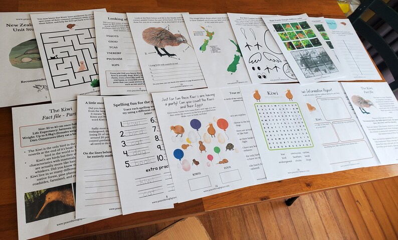 NEW ZEALAND Kiwi Bird Unit Study Bundle. Montessori Style, Hands-on ...