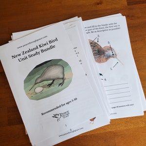 NEW ZEALAND Kiwi Bird Unit Study Bundle. Montessori Style, Hands-on ...