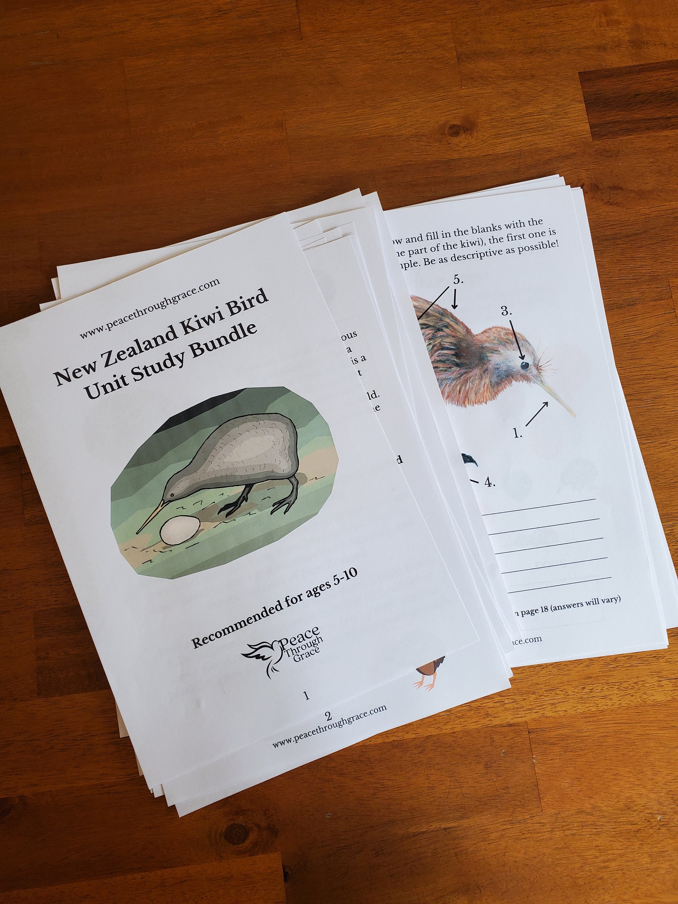 NEW ZEALAND Kiwi Bird Unit Study Bundle. Montessori Style, Hands-on ...