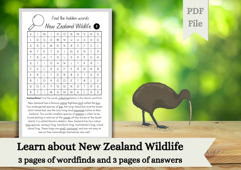 New Zealand Wildlife Word Searches | Learn About New Zealand Animals ...