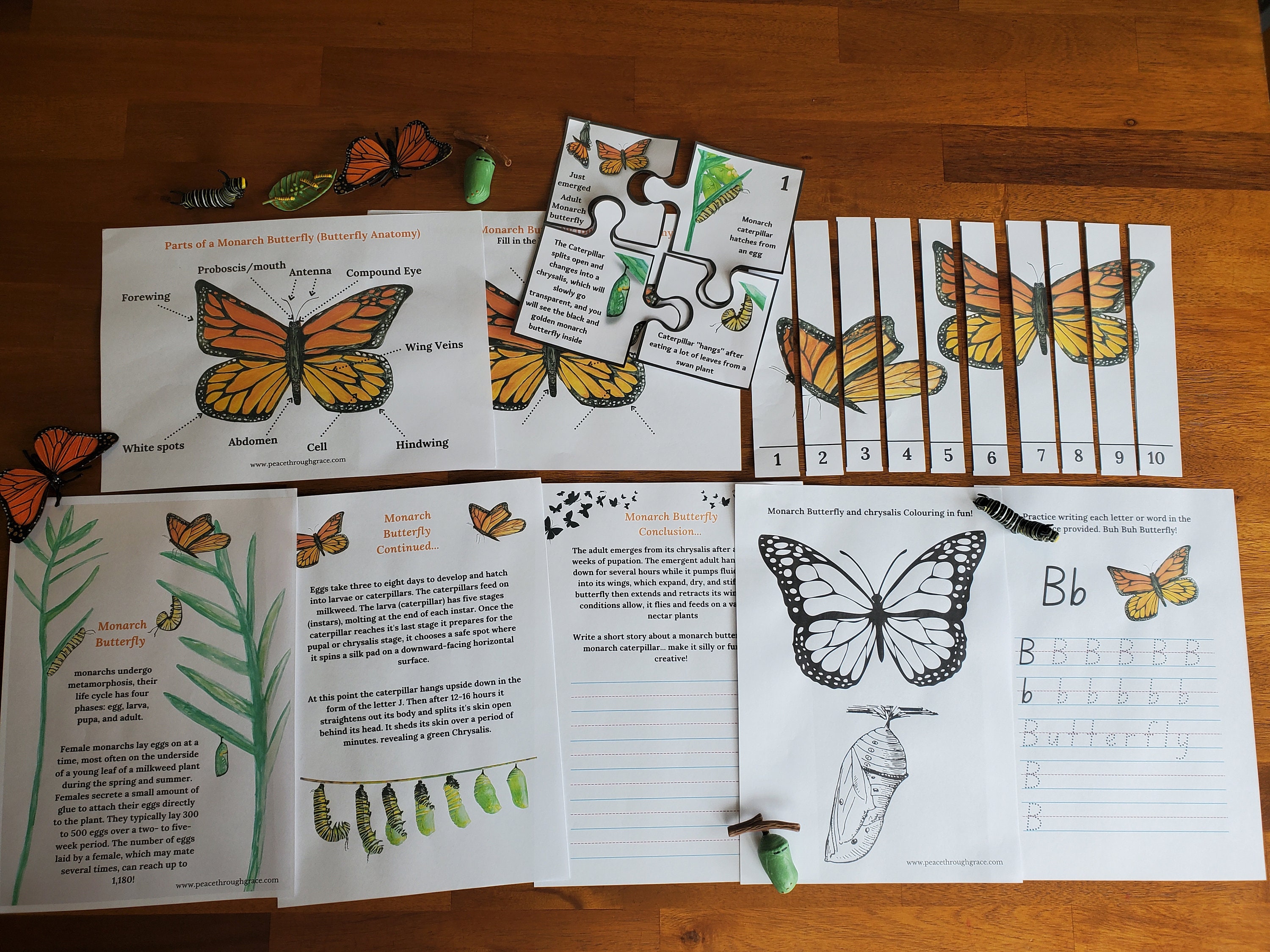 Monarch Butterfly Study Bundle, Montessori, Charlotte Mason, Fun ...