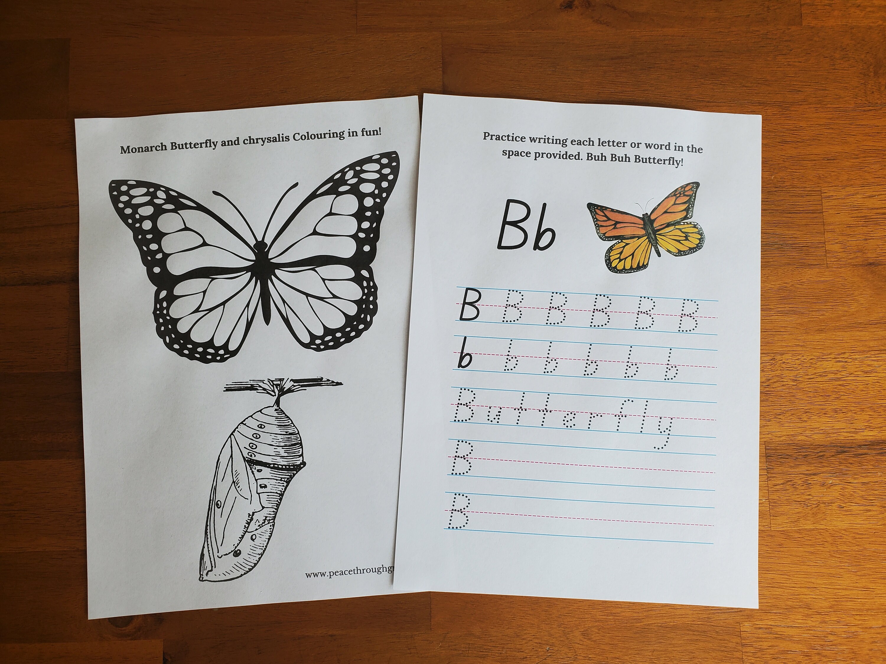 Monarch Butterfly Study Bundle, Montessori, Charlotte Mason, Fun ...