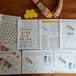 Honey Bee Unit Study Bundle, Learning, Montessori, Charlotte Mason, Fun ...