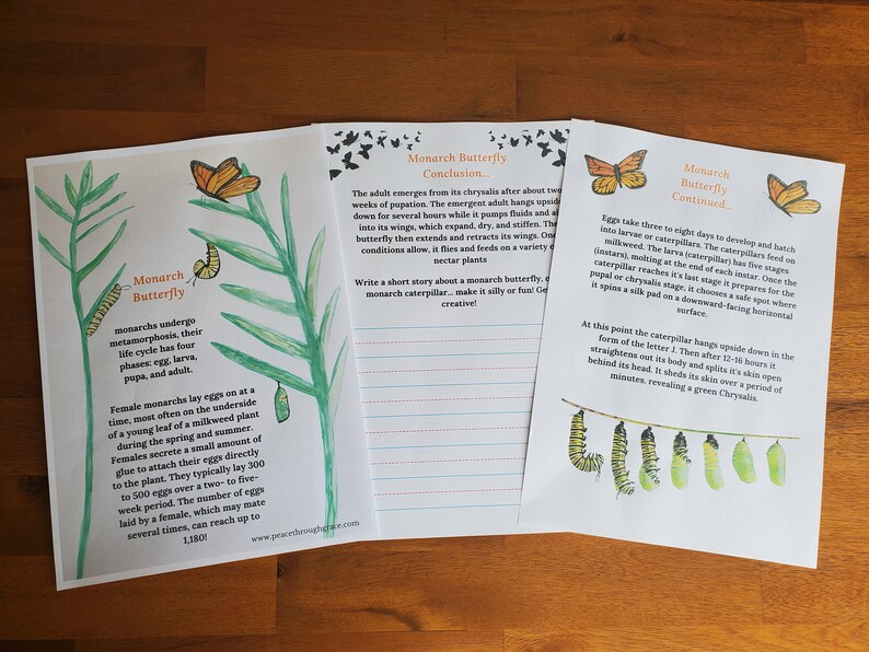 Monarch Butterfly Study Bundle, Montessori, Charlotte Mason, Fun ...