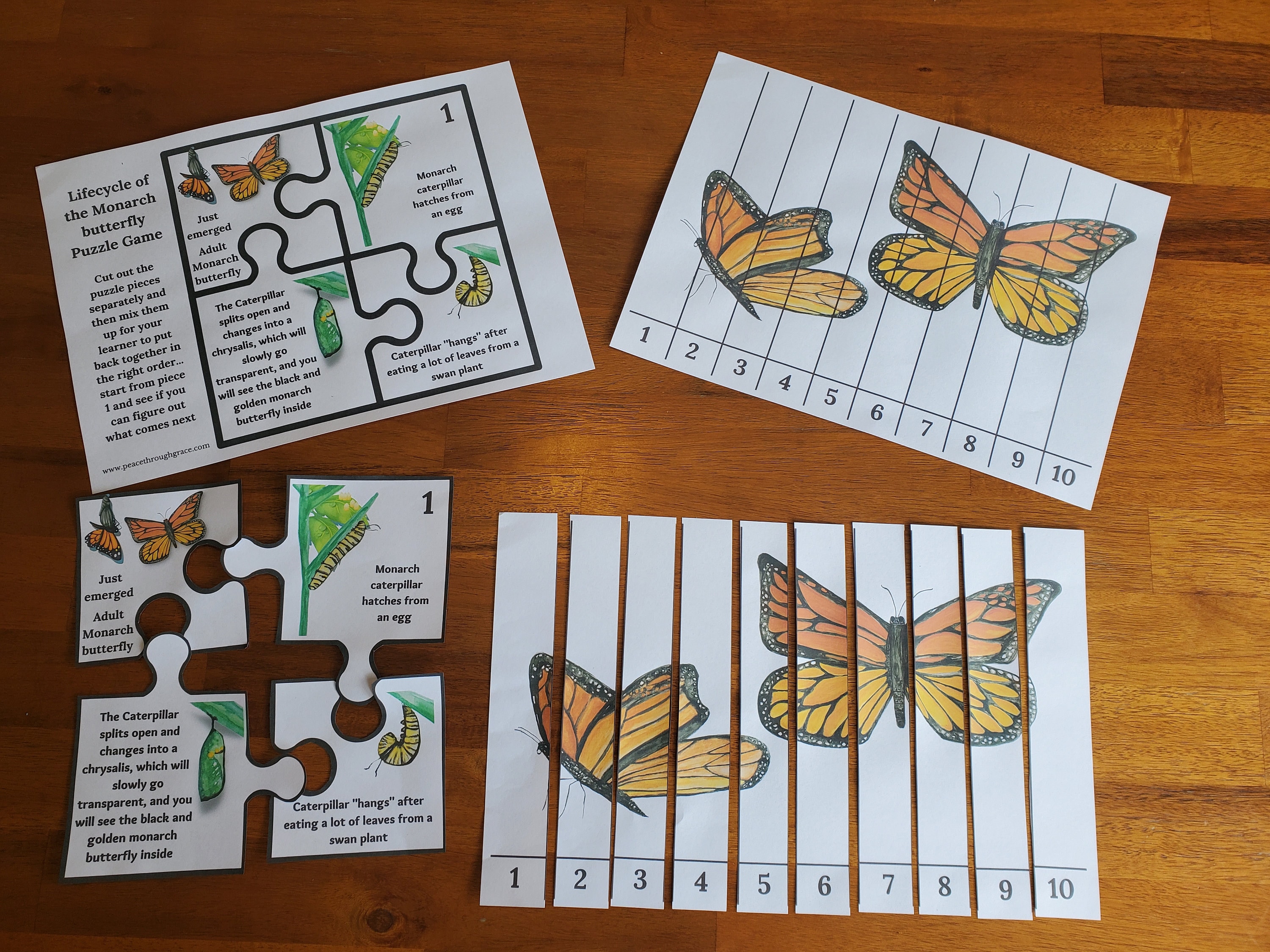 Monarch Butterfly Study Bundle, Montessori, Charlotte Mason, Fun ...