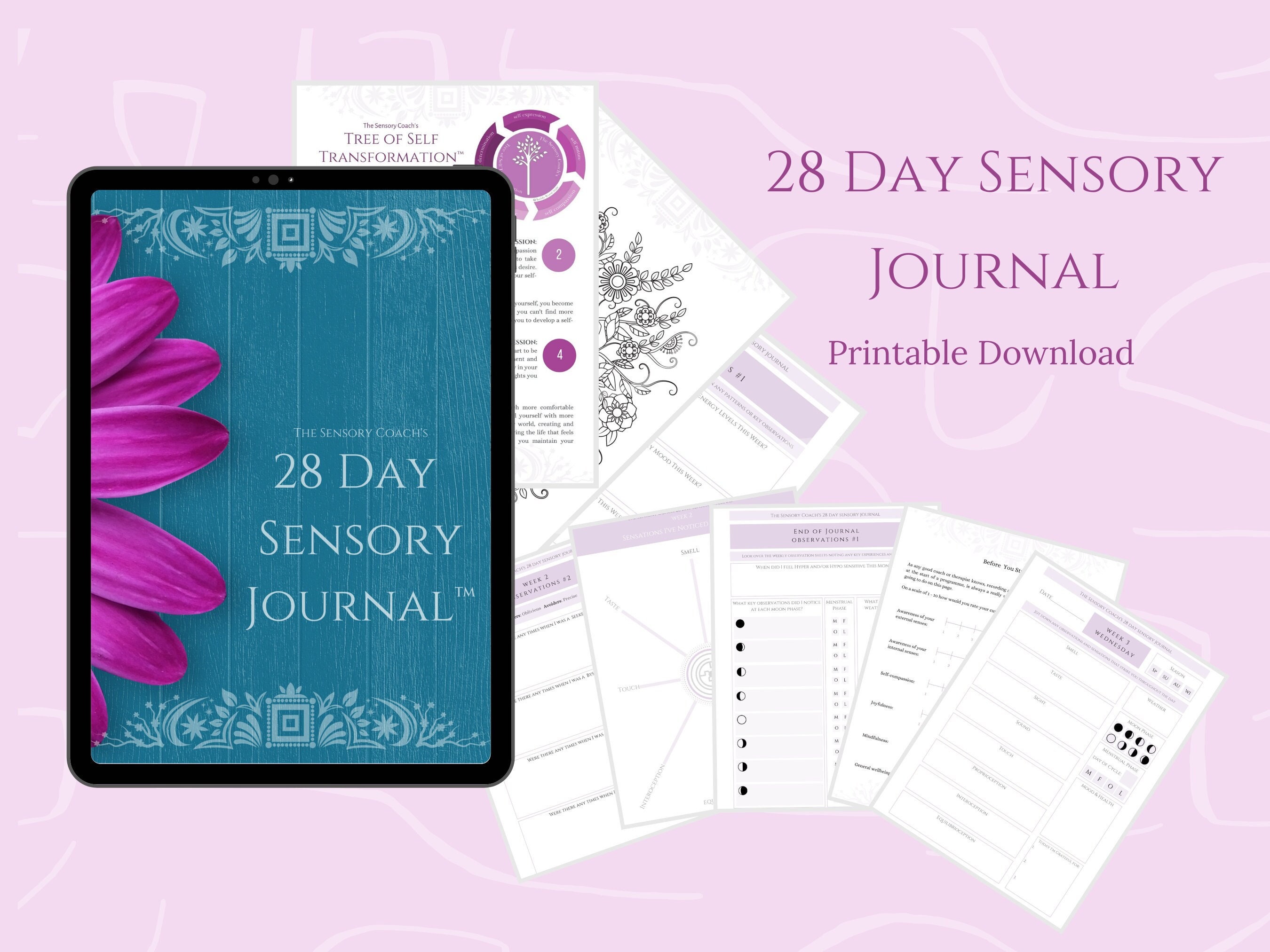 The Sensory Coach's 28 Day Sensory Journal - Etsy