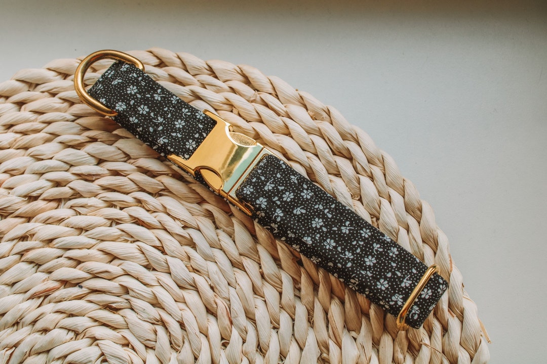 Dark Floral Dog Collar // Black Dog Collar Dog Collar With - Etsy