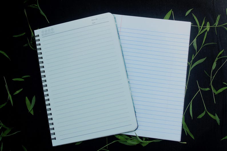 Blue Gold Spiral Notebook Lined Blank Journal Diary With Pen, Hand ...