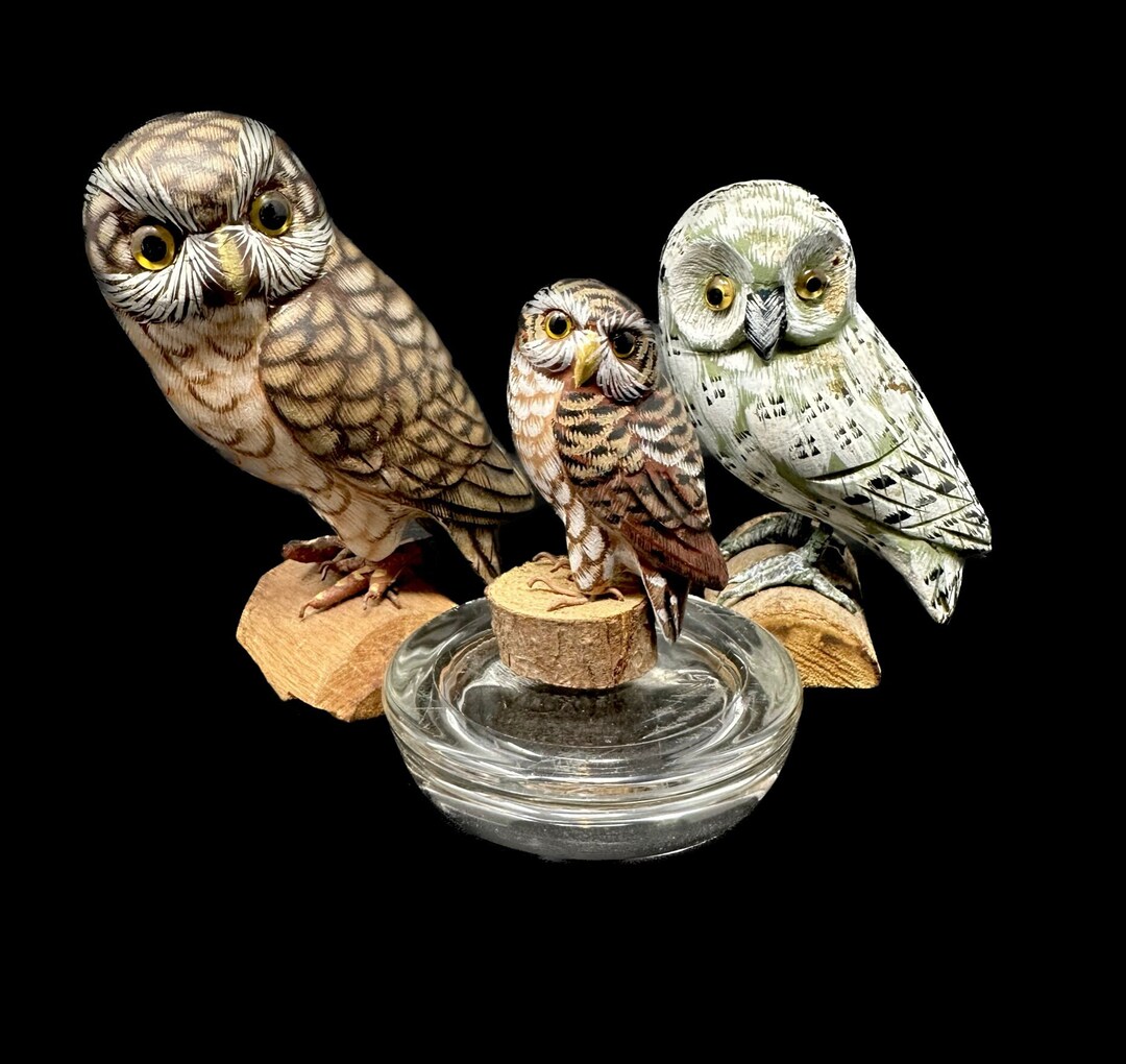 Set of 3 Wooden Carved & Hand-painted Owl Figurines Perched on “logs ...