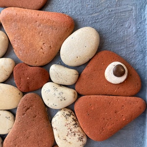 Clownfish Anemonefish Nemo Lover Sea Pebble Art - Etsy