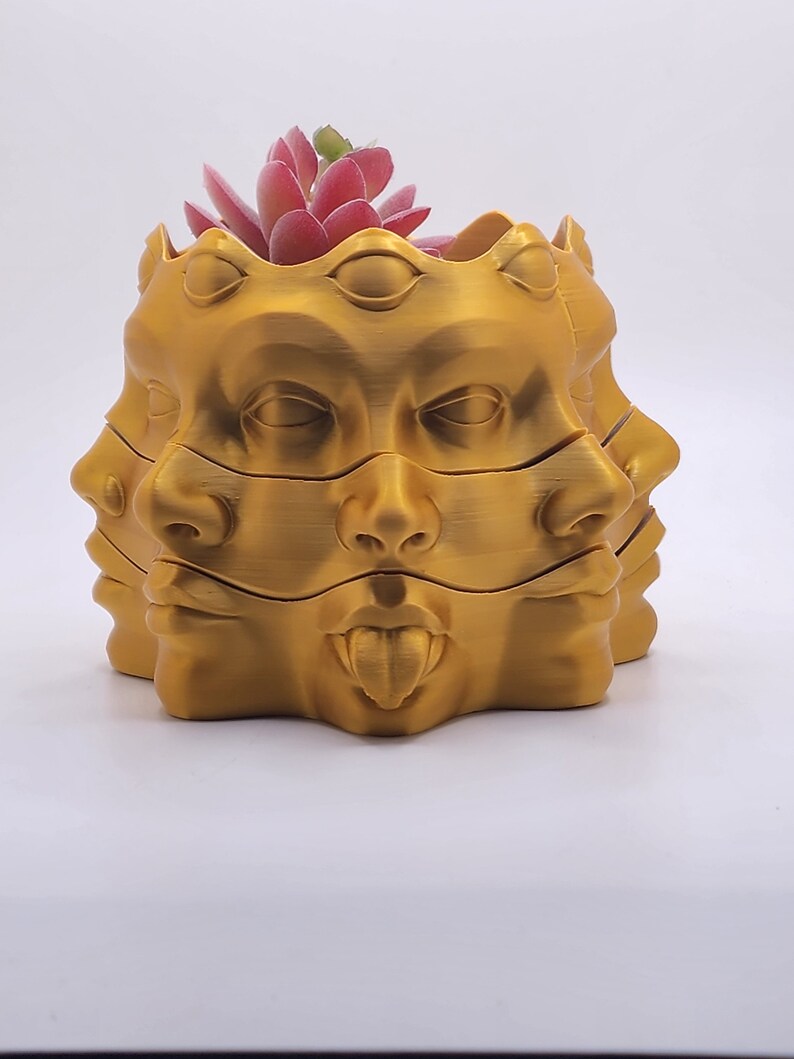 Rotating Faces 3d Printed Planter Fidget Face Planter Succulent Planter ...