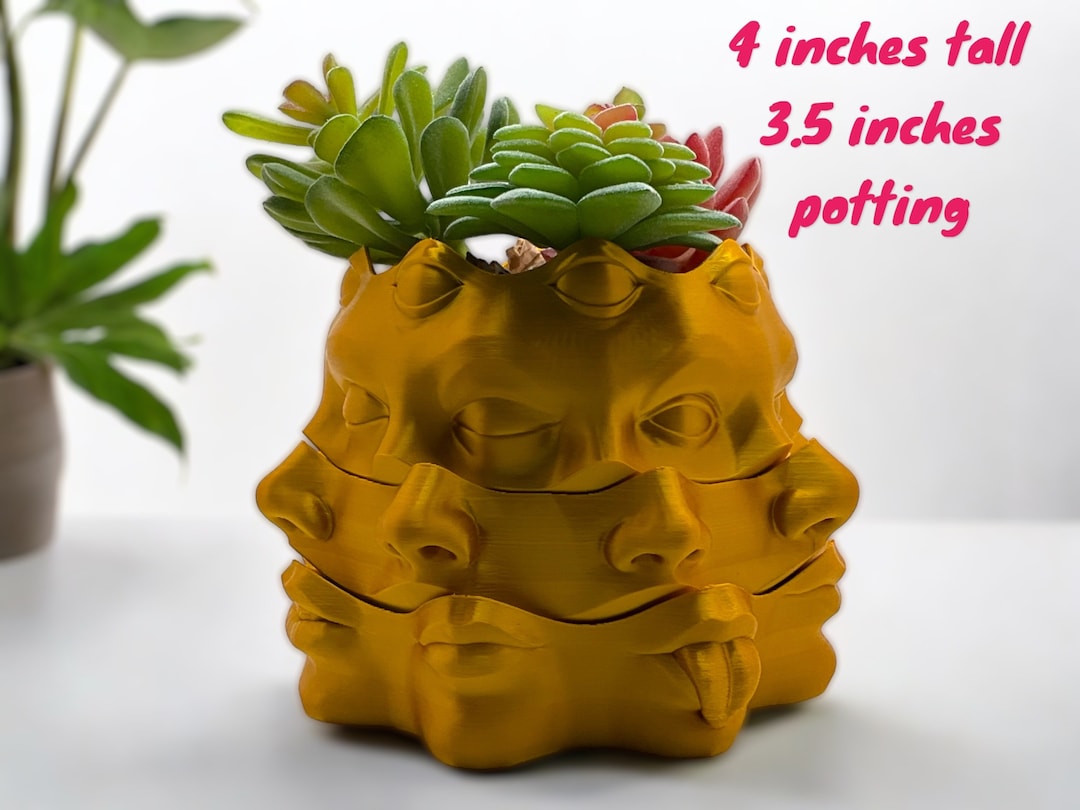 Rotating Faces 3d Printed Planter | Fidget Face Planter | Succulent ...