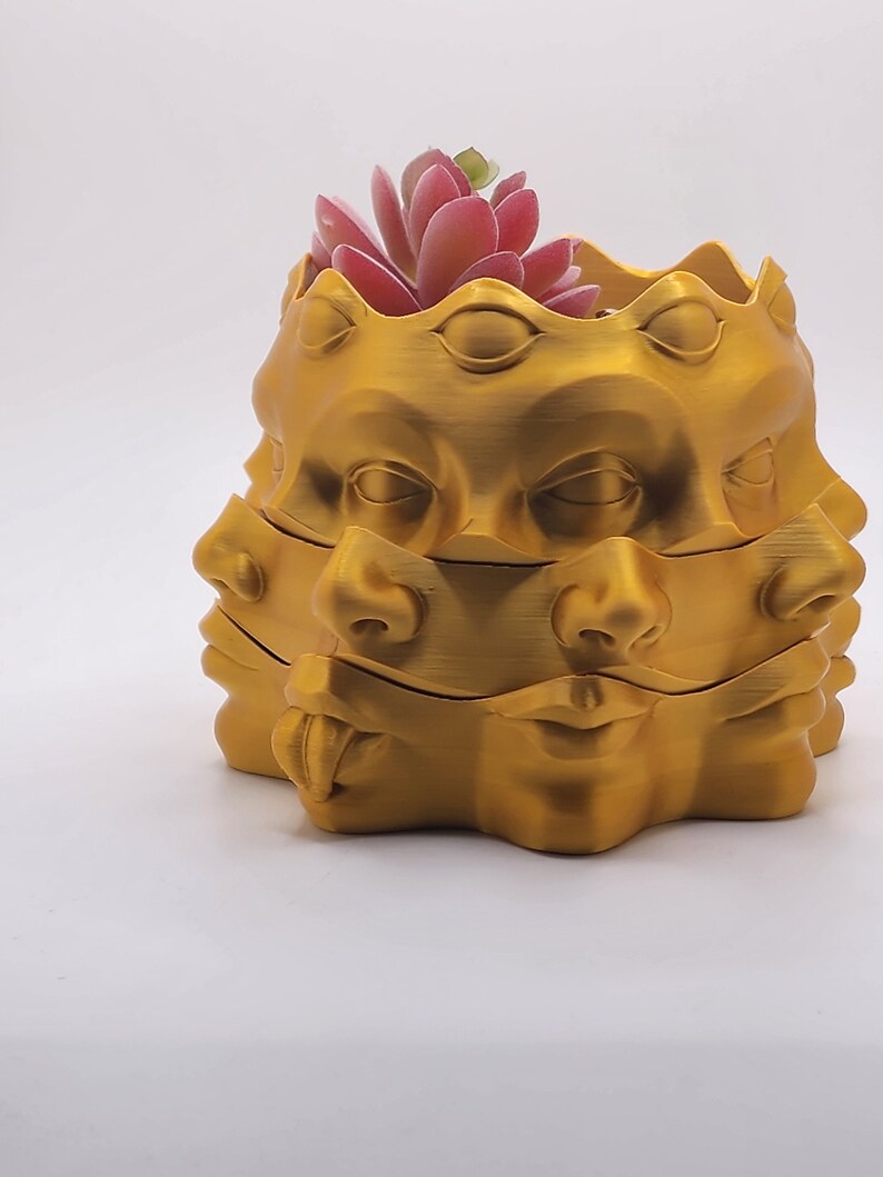 Rotating Faces 3d Printed Planter | Fidget Face Planter | Succulent ...