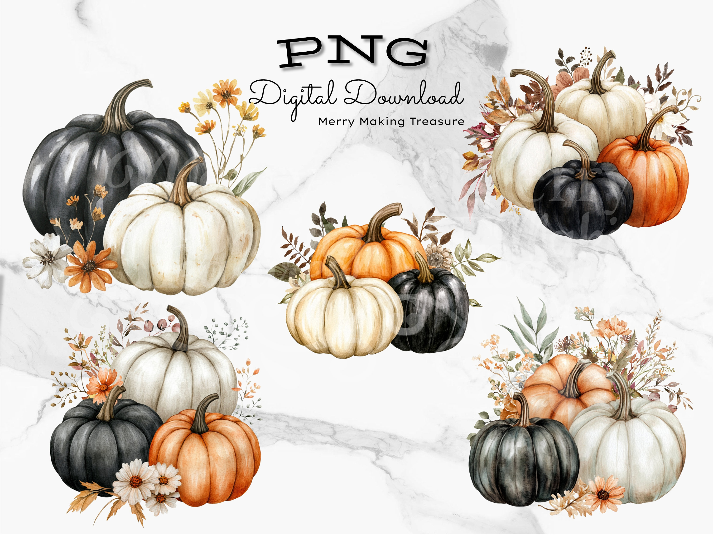Watercolor Fall Pumpkin Clipart: Black, Orange, White (PNG Digital ...