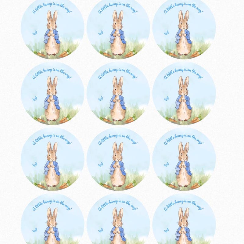 Peter Rabbit Cookies - Etsy