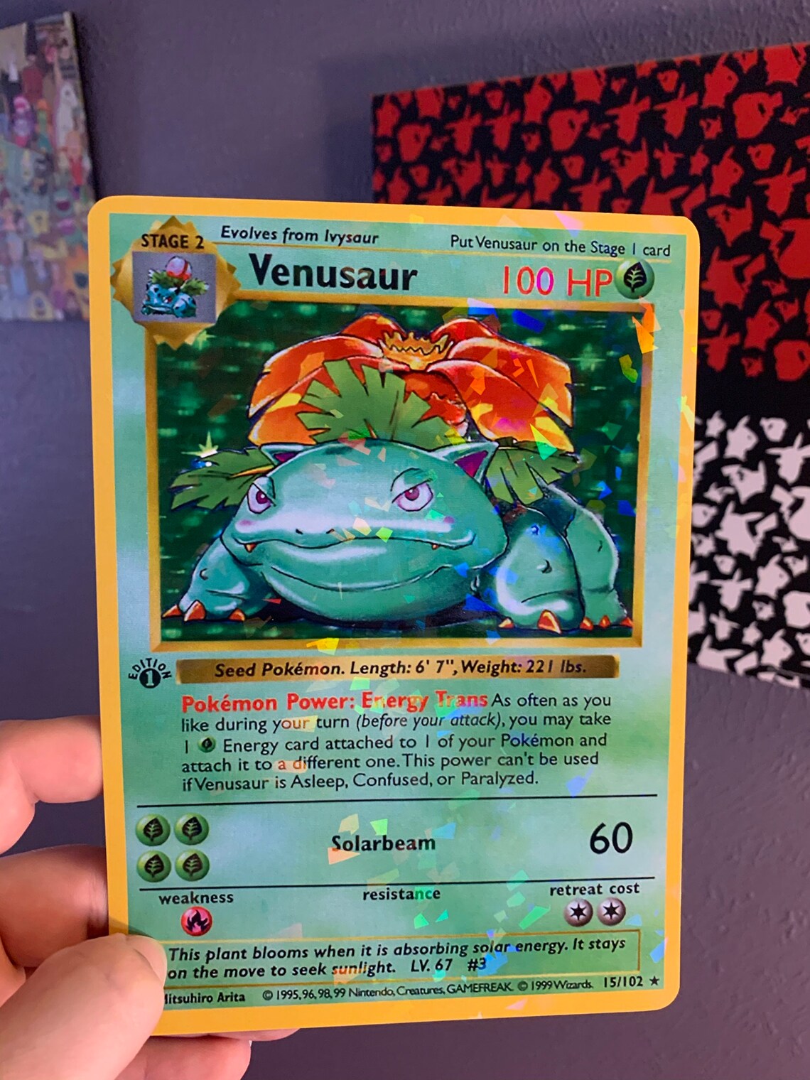 7.5 X 5.5 Custom Jumbo Pokemon Card Complete 1st | Etsy Australia