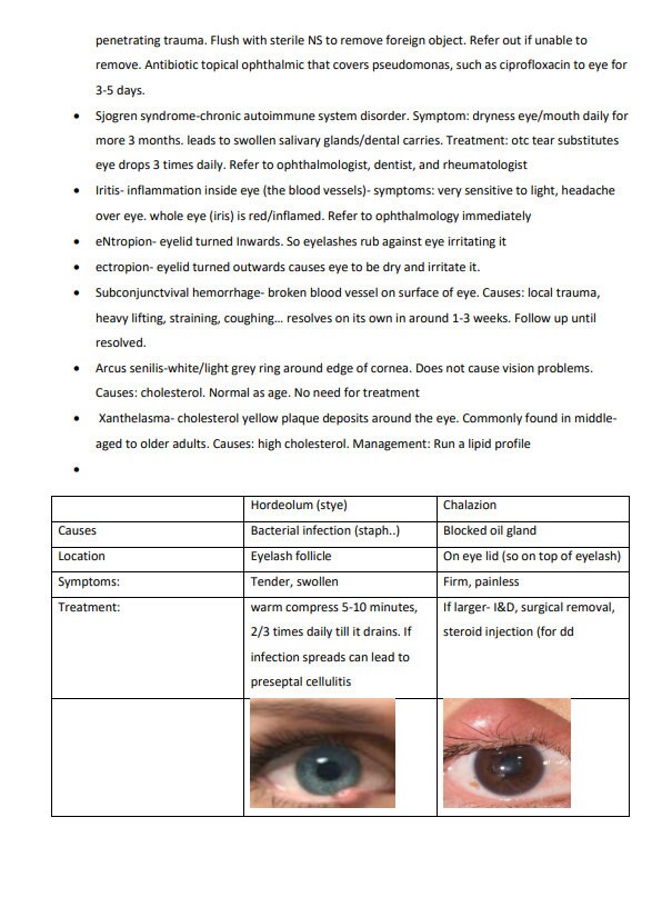 Nurse Practitioner Board Review on EYES - Etsy