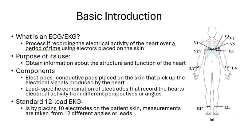 EKG Made Easy for Medical Professional - Etsy