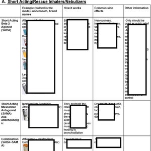 Asthma/copd Respiratory Medication and Guidelines - Etsy