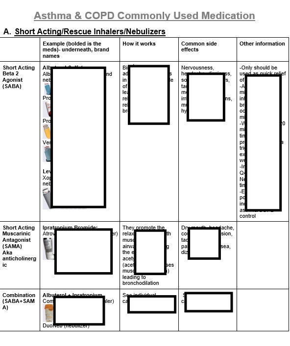 Asthma/copd Respiratory Medication and Guidelines - Etsy