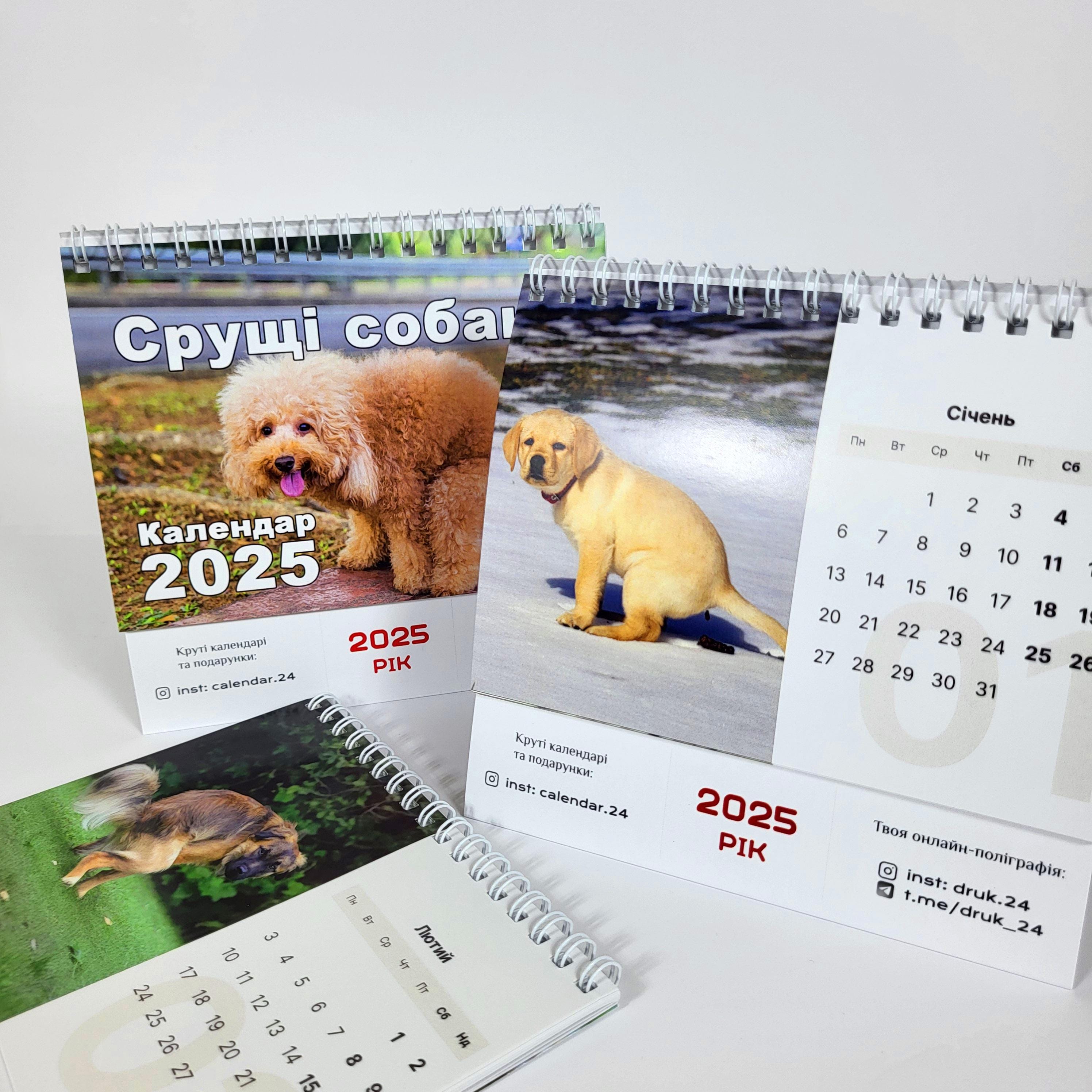 Pooping Dogs 2025 Desk Calendar, Dog Lover Gift, Funny Dog Calendar ...