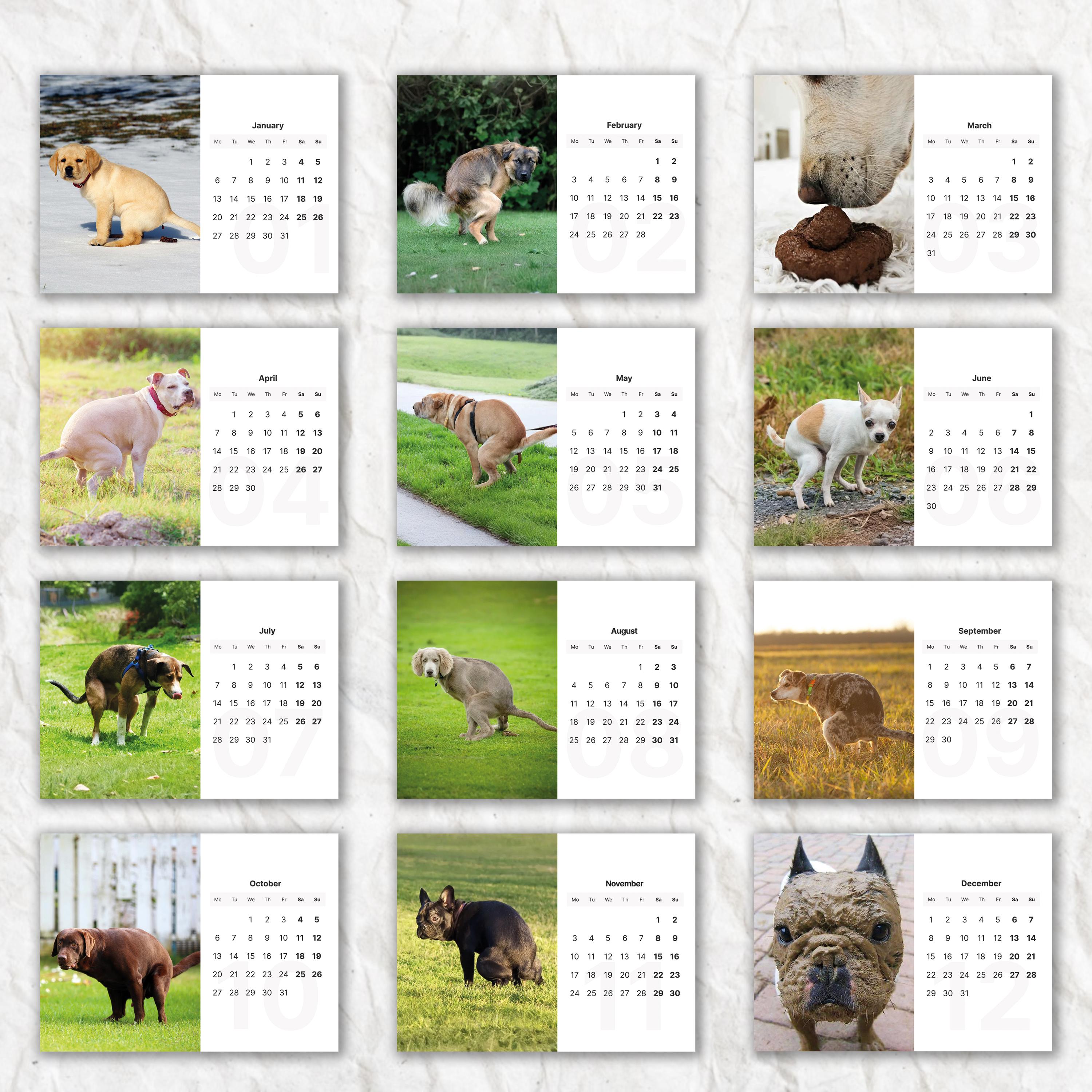 Pooping Dogs 2025 Desk Calendar, Dog Lover Gift, Funny Dog Calendar ...