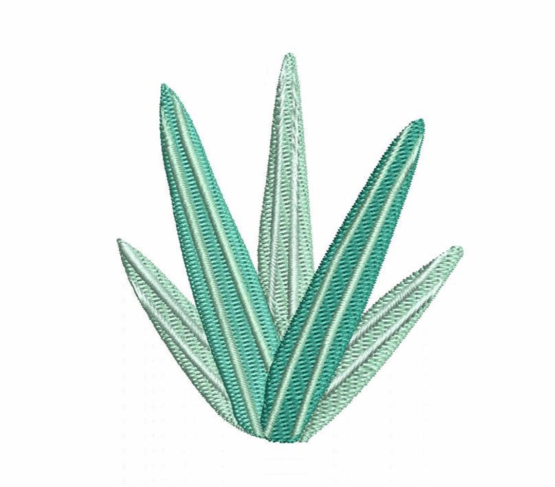 Agave Machine Embroidery Design | Fill Stitch | Succulent | 6.6x5.8 | Instant Download | All ...