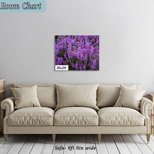 Heather - Scottish Beautiful Vivid Purple Heather Photo - Etsy