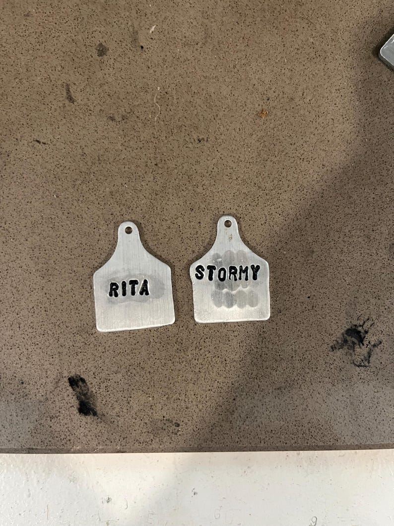 Equine Storm Tags (PLEASE READ DESCRIPTION!) - Etsy