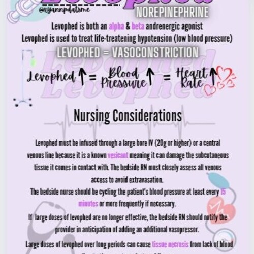 Levophed Cheat Sheet - Etsy