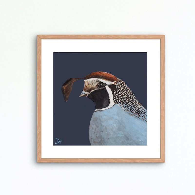 Quail Art - Etsy