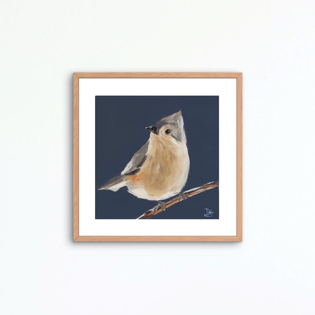 Tufted Titmouse Bird Art Print - Etsy