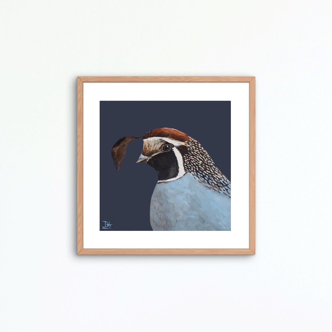 Quail Art Print - Etsy