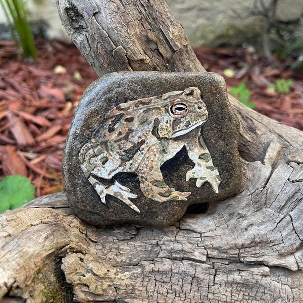Painted Rock Frog - Etsy