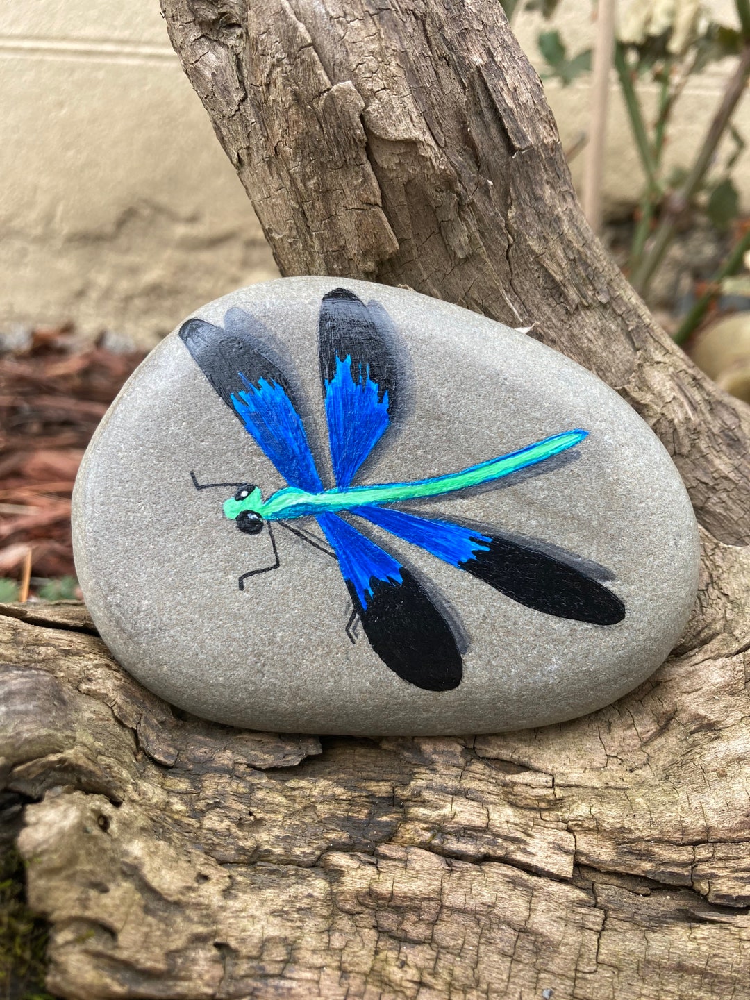 Dragonfly Painted Rock: Hand-painted Garden Decor - Etsy