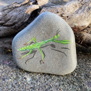 Praying Mantis Painted Rock; Home Decor; Garden Decor; Cute Decoration ...
