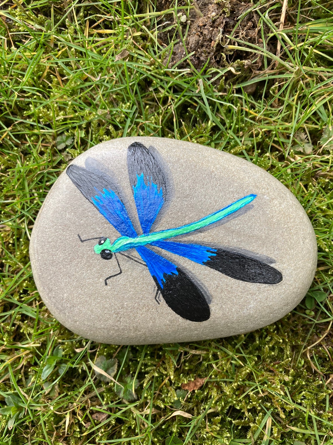 Dragonfly Painted Rock Garden Decor Cute Painted Rock Yard - Etsy