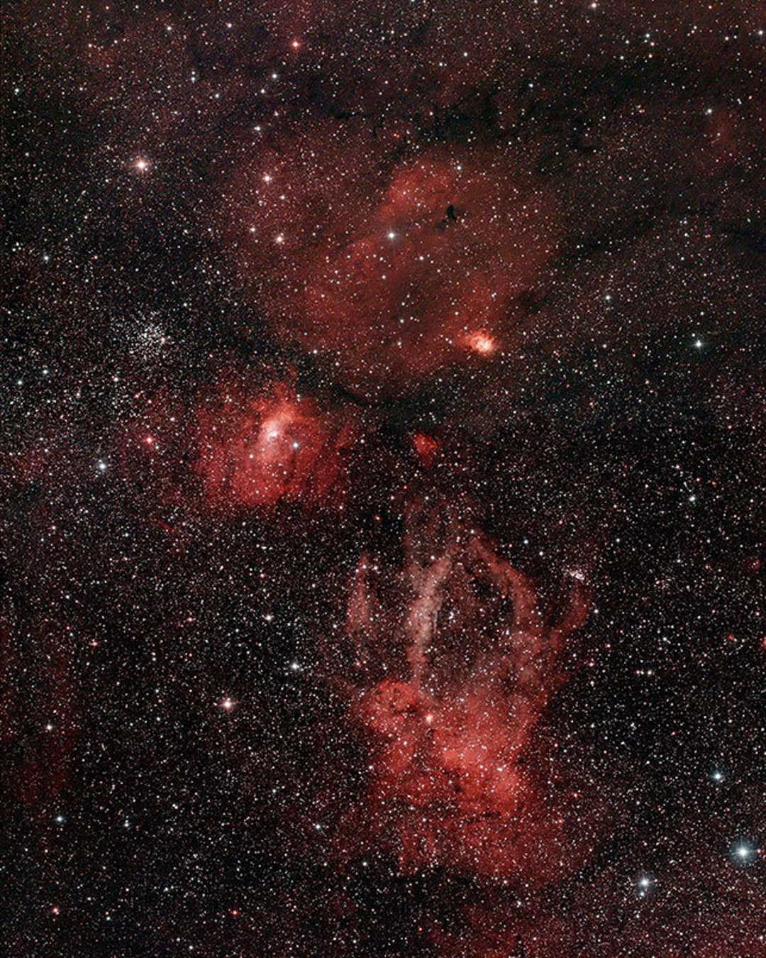 Lobster Claw and Bubble Nebula Print - Etsy