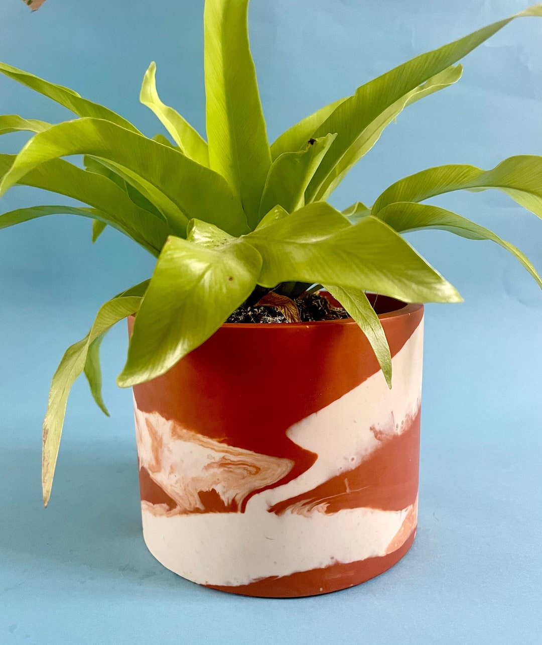Handmade Unique Plant Pot | 15cm or 25cm Diameter | Terracotta Coloured ...