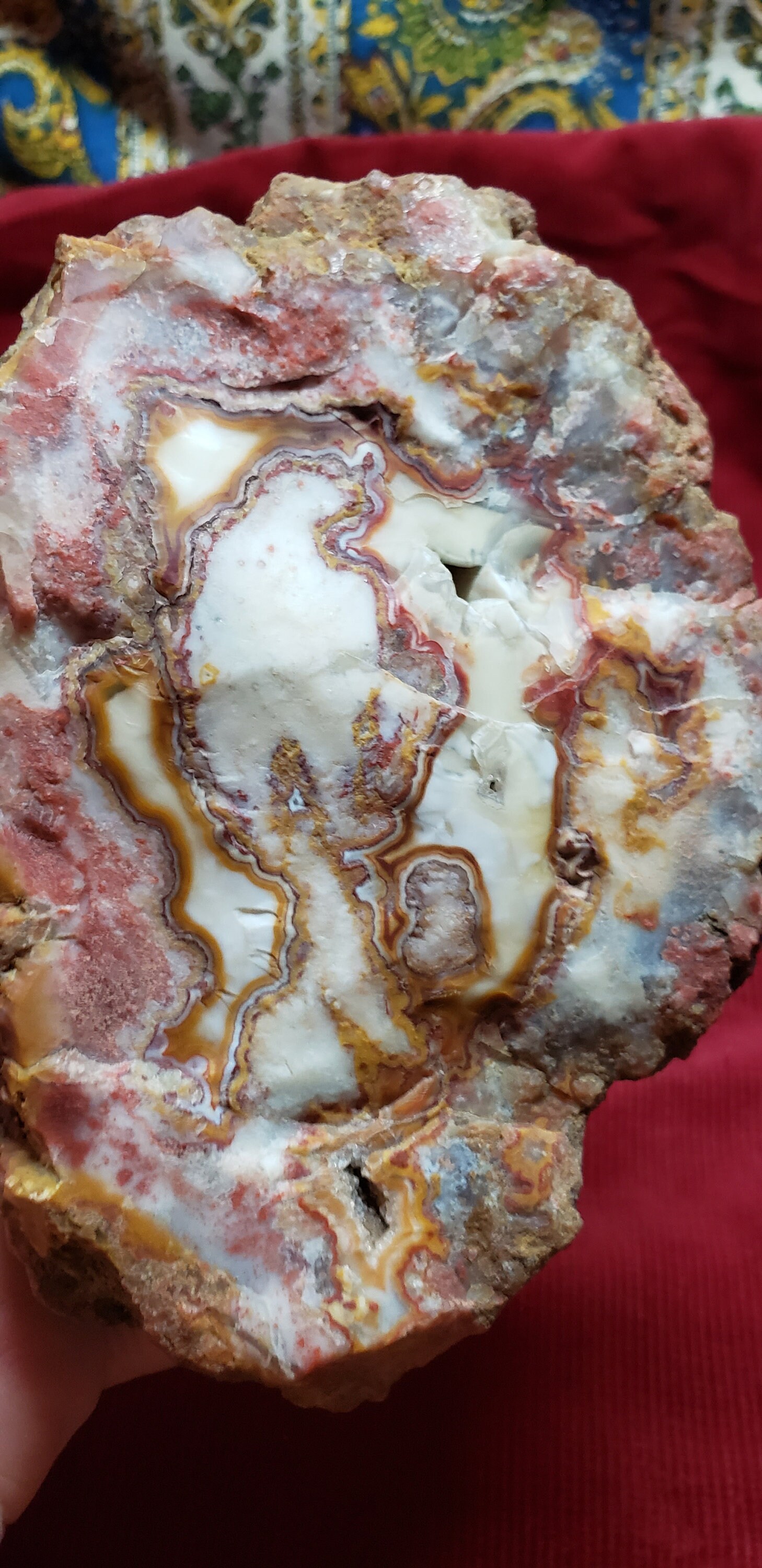 Tennessee Paint Rock Agate Display End Cut - Etsy