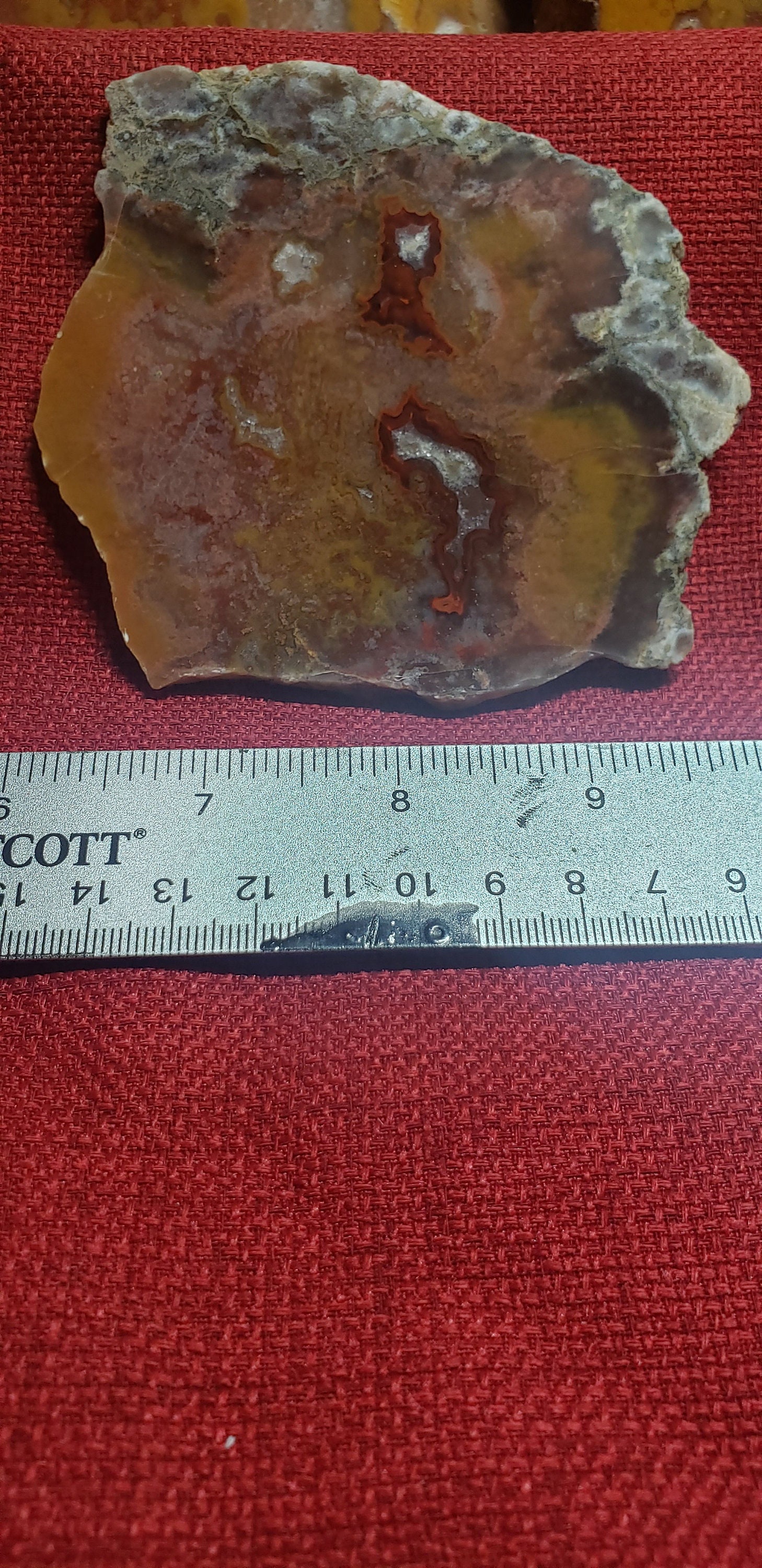 Extremely Rare Rough Slab TN Paint Rock Agate - Etsy