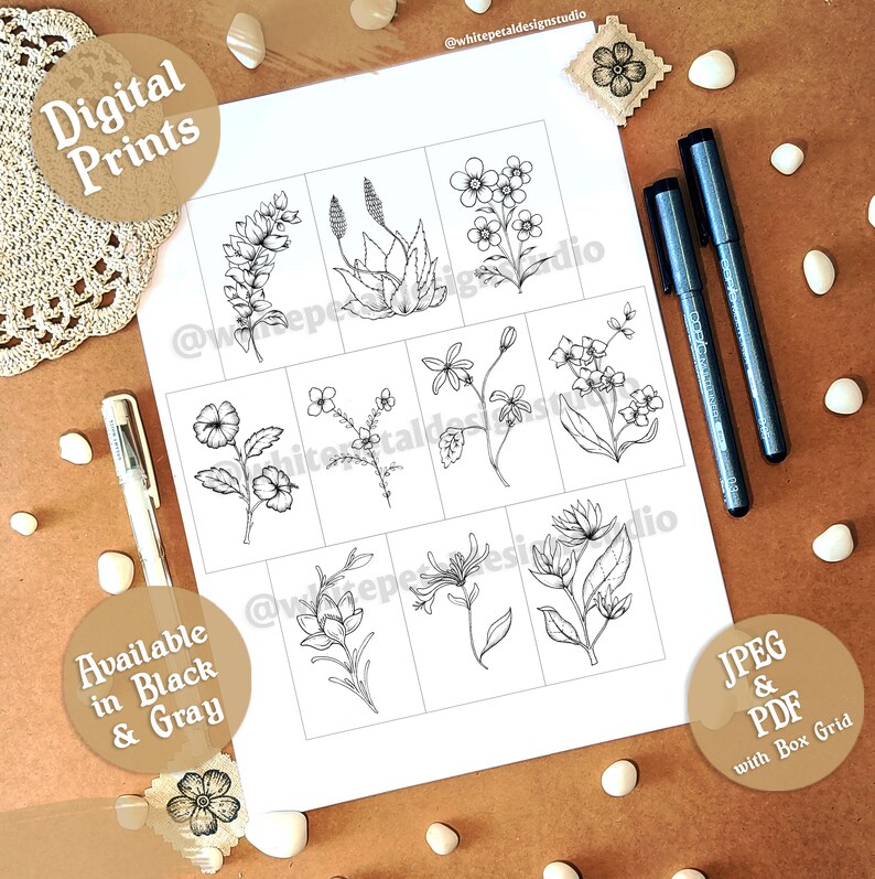 20 Botanical Flowers_practice Sheets Colouring Pages - Etsy